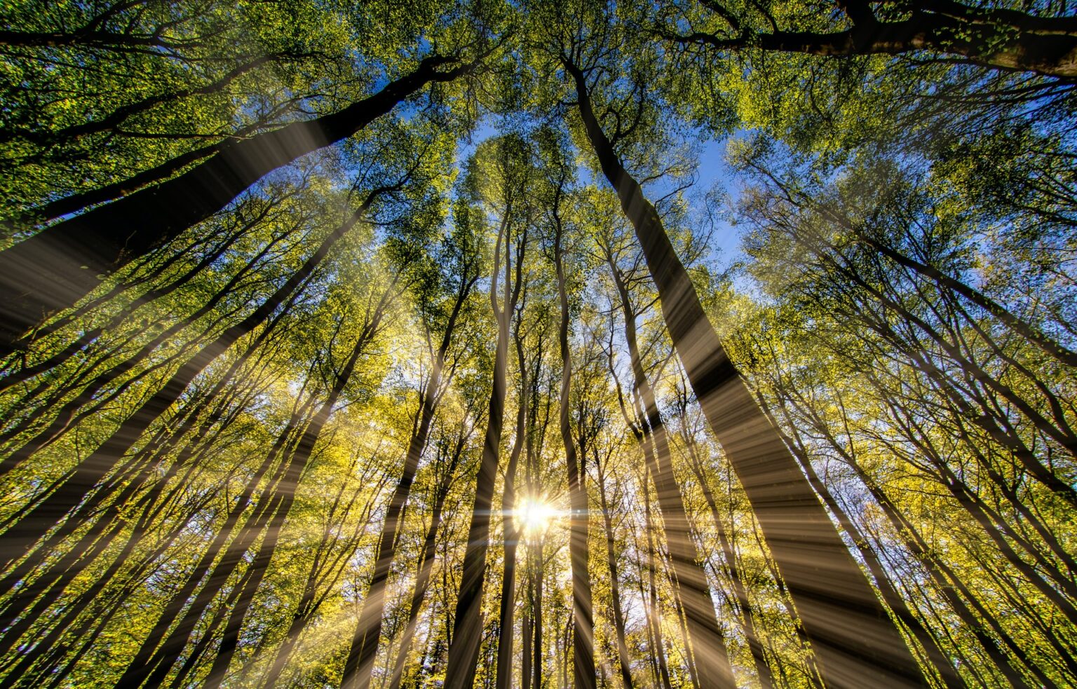Top Benefits of Sunlight